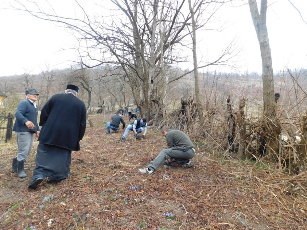 Activitate ecologică în Filia Șoimuș, Parohia Mădrigești ...
